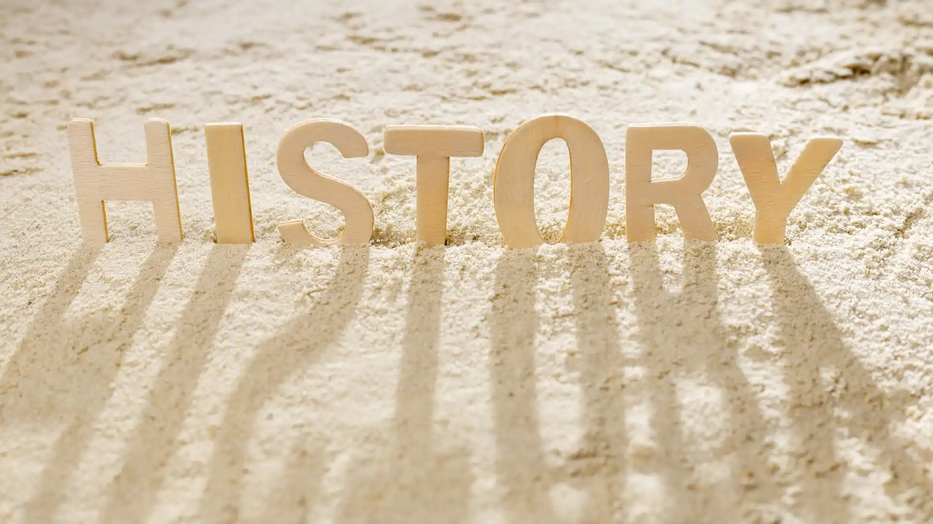 Professional History Assignment Help By Expert Writers